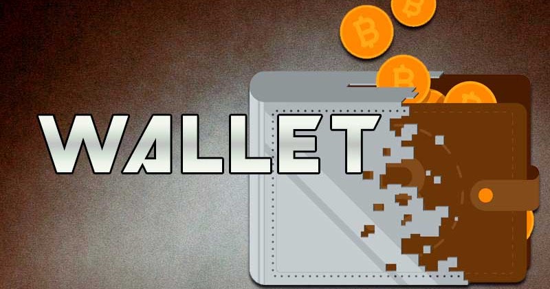 🥇 Wallet de criptomonedas lo que debes saber