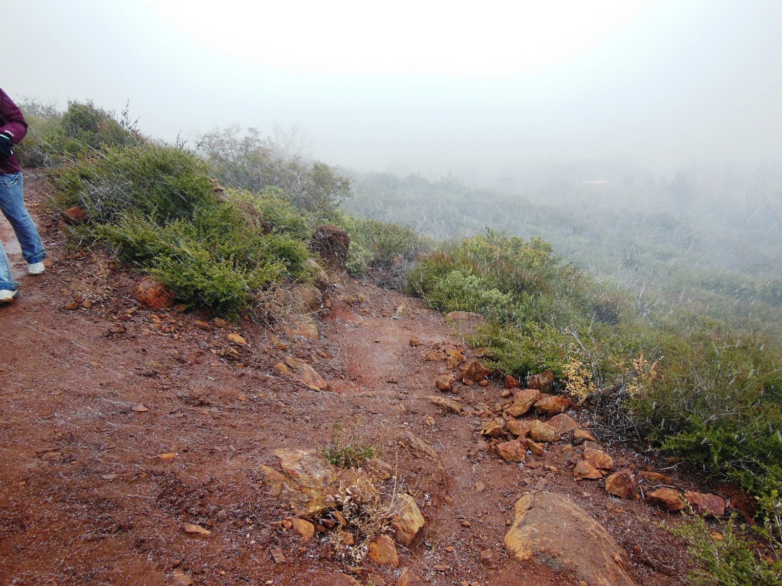 Brian and Ashley's Hiking Blog!: William Heise County Park (Canyon Oak ...