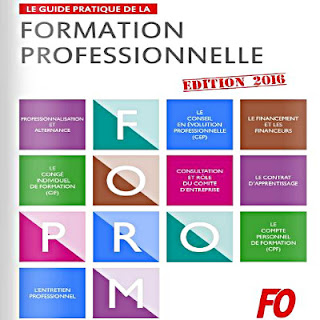 FO - Loire Atlantique: Le guide pratique de la formation ...