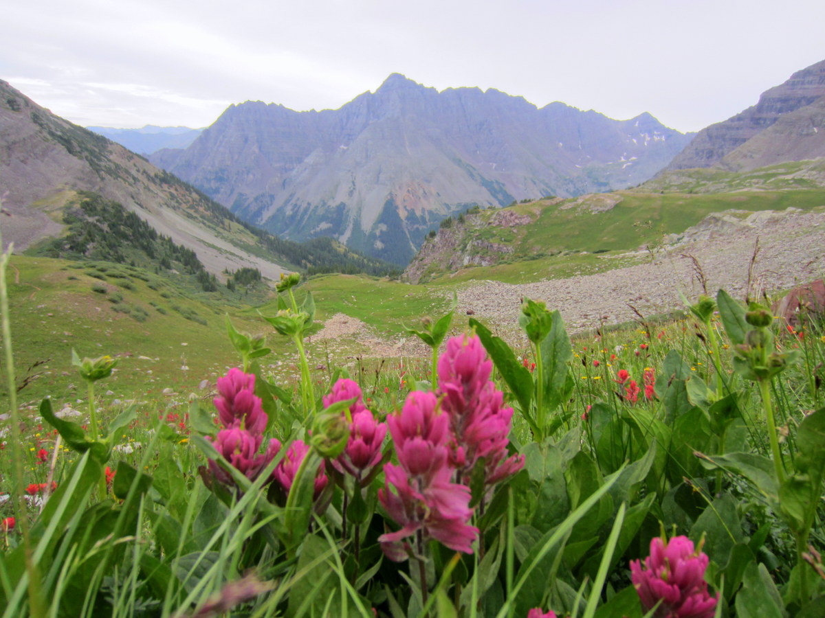 CO-Runner: The Four Pass Loop