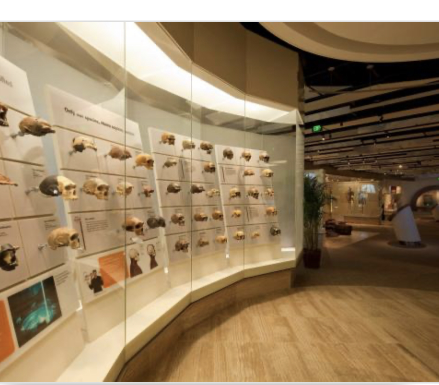 Domestication of Plants and Animals outside the Fertile Crescent