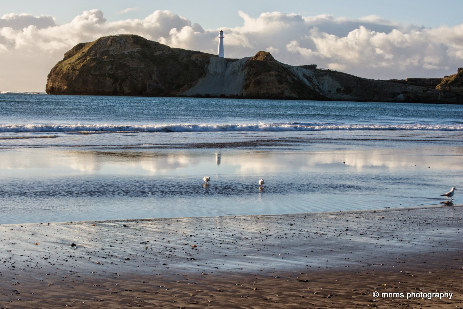 10 reasons to visit Castlepoint | the adventures of MNMs
