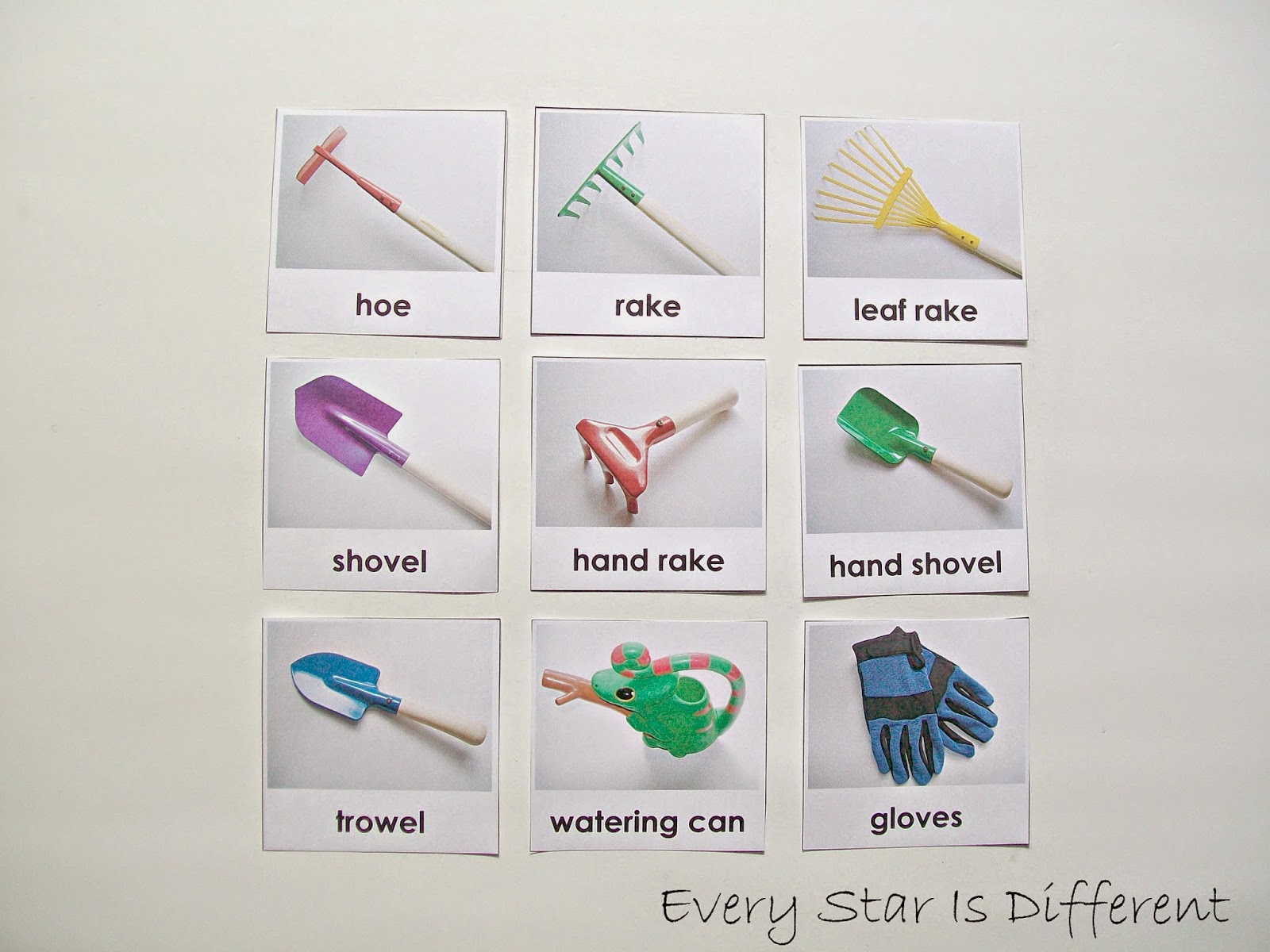 Earth Day Vegetable Garden Unit with Free Printables - Every Star Is ...