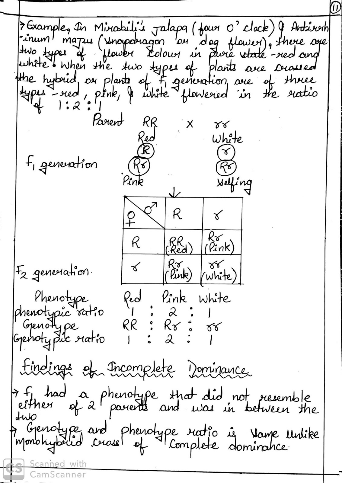 Principle of Inheritance and Variation Handwritten Notes for 12th Biology