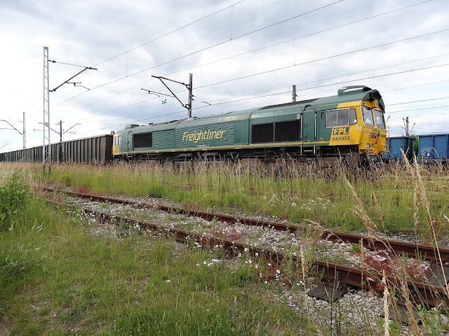 Firmowy pociąg FPL na stacji Kielce Herbskie: Class 66604 z węglarkami ...