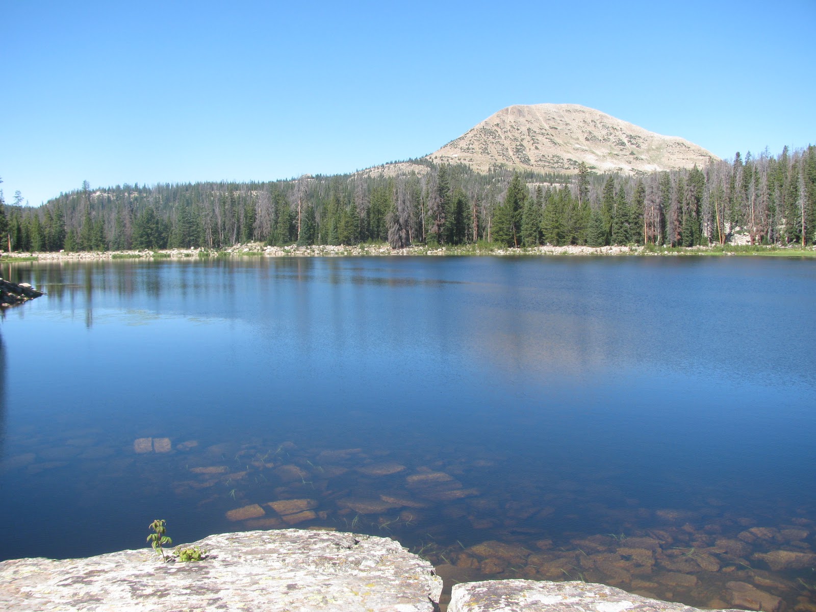 Backyard Excursions: Hike in the Uintas