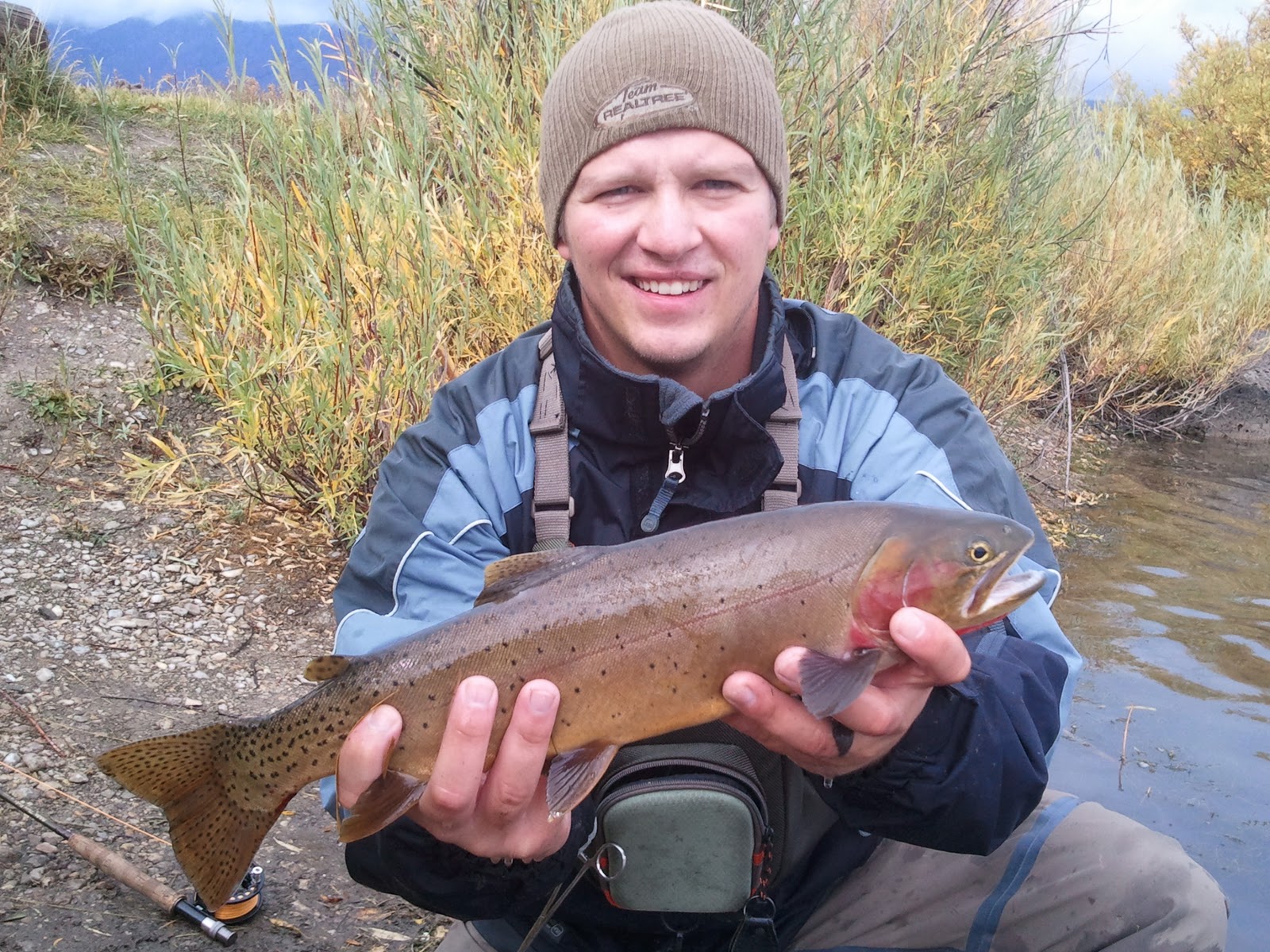 Central Pa Trout Bum: Henrys Lake Central Pa Trout Bum: Henrys Lake