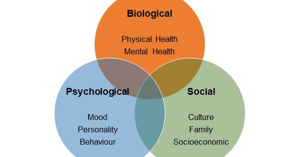 HOW PSYCHOLOGY S THREE MAIN LEVELS OF ANALYSIS WORKS how-psychology-s-three-main-levels-of-analysis-works