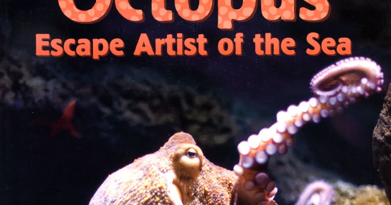 Caroline Arnold Art and Books: OCTOPUS, ESCAPE ARTIST OF THE SEA