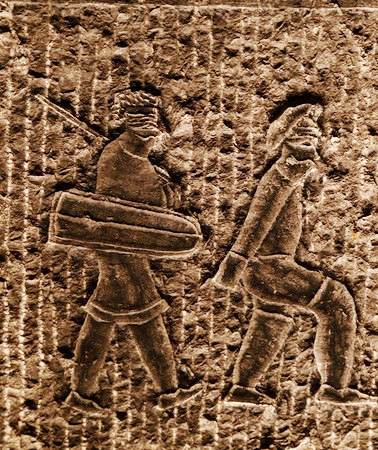 The evolution of shields in China — Part 1: Shang to Han | Great Ming ...