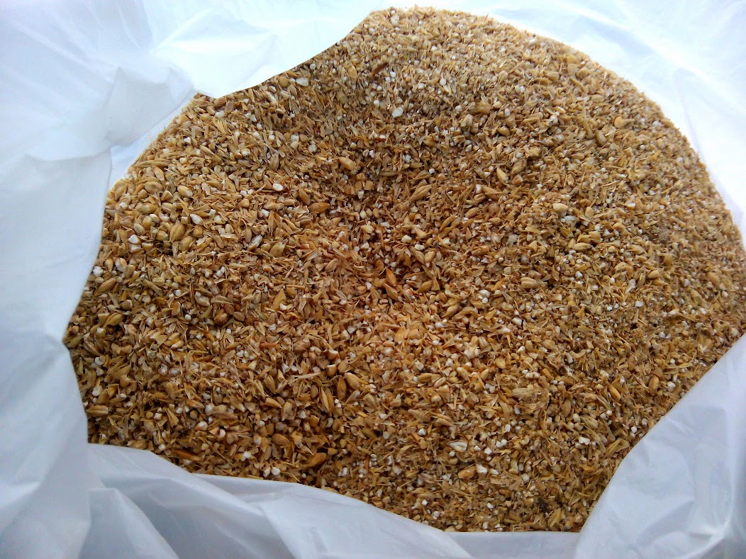 Cuaderno de anillas: MALTEADO DE CEBADA Y MÁS.