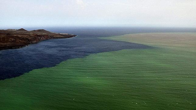 Tardes de Miel y Canela: Relatos Canarios: La vuelta de Ferinto