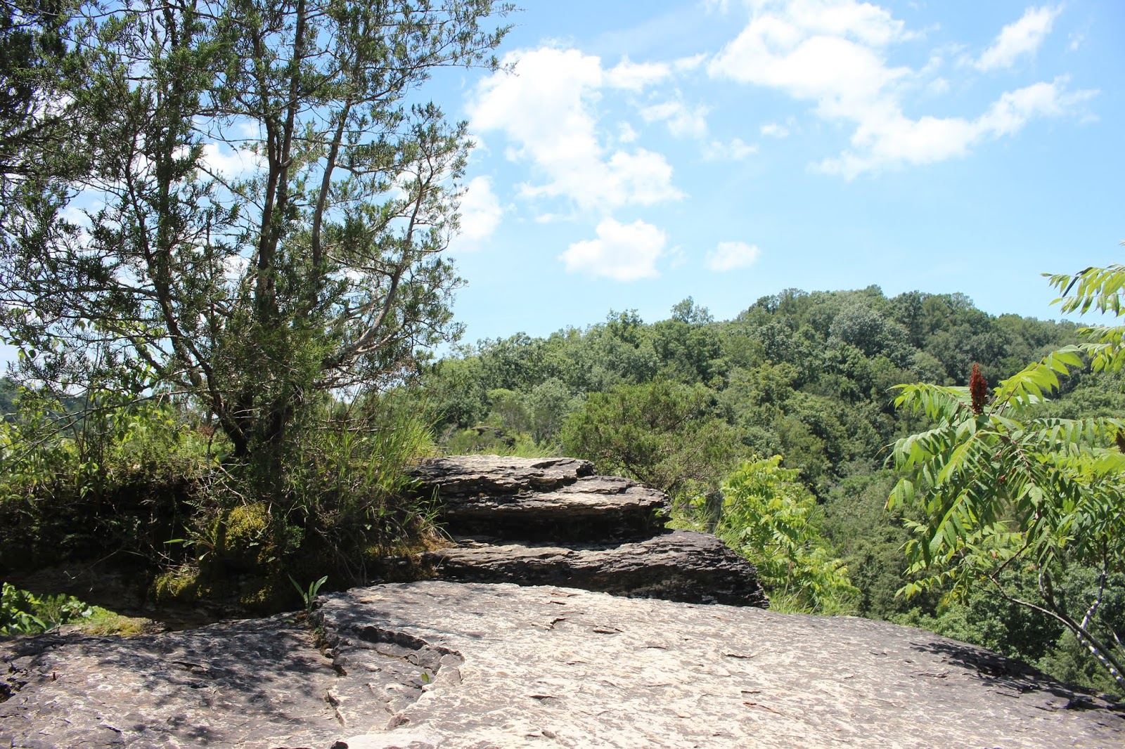 Cumberland Gal: Window Cliffs State Natural Area Hike