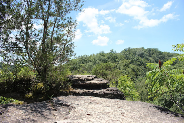 Cumberland Gal: Window Cliffs State Natural Area Hike