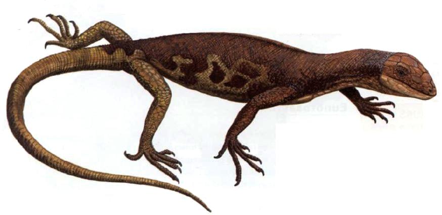 Blog de la Vida Prehistórica: Araeoscelis