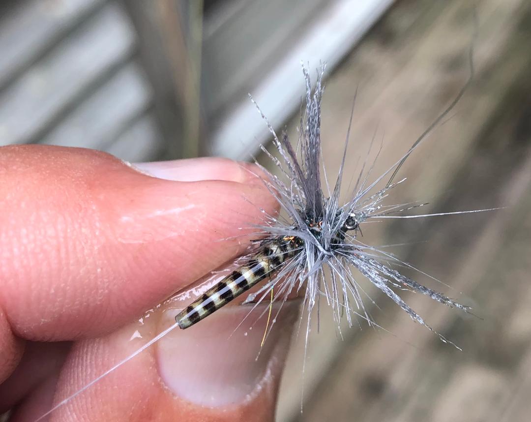 Saga of my Biggest Brown on the Dry ~ Matt Supinski's Gray Drake Lodge ...