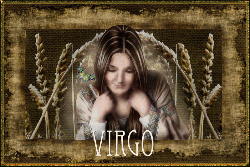 Características Generales del signo Virgo