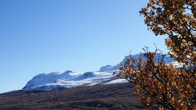 Skal hilse fra fjellet