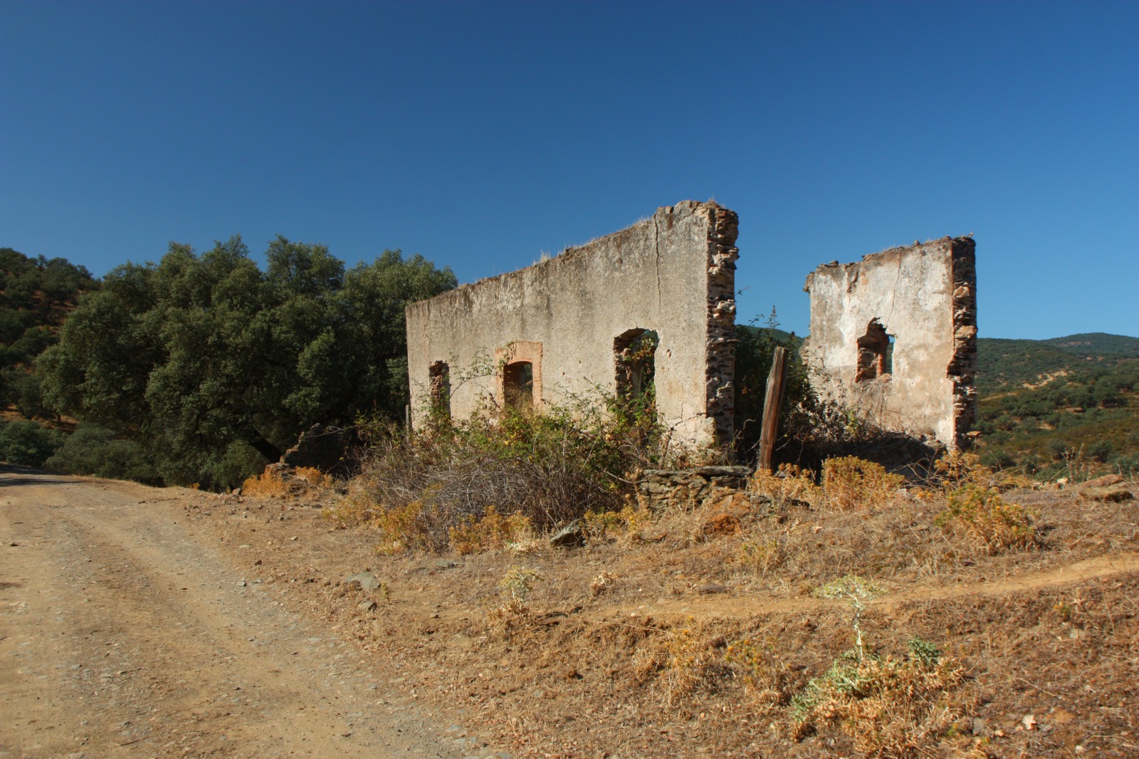 OLALLAREAL: CUATRO PERRAS PARA LOS PUEBLOS DE LA SIERRA