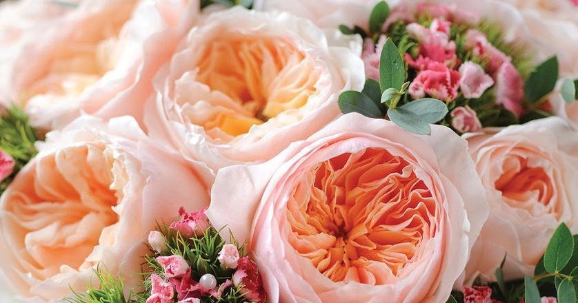 World's Most Expensive Flowers: Top 10 Expensive Flowers In The World