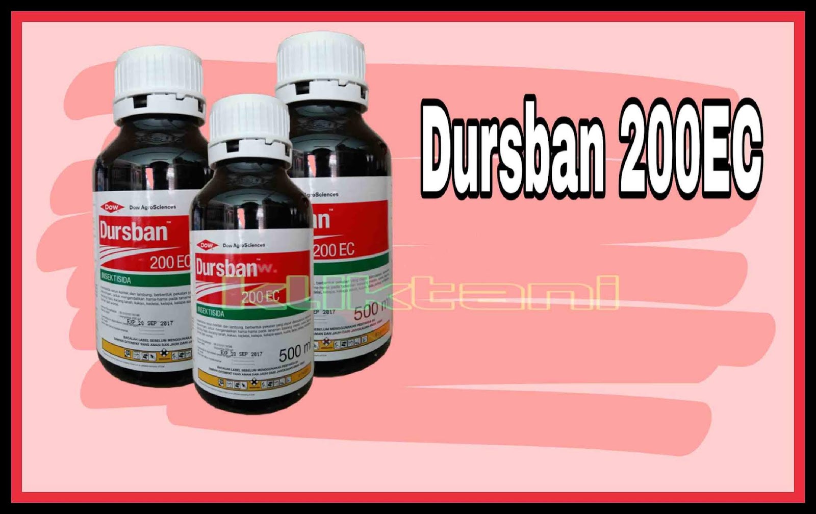 Fungsi dan Dosis Insektisida Dursban 200EC Bagi Tanaman - kliktani.com