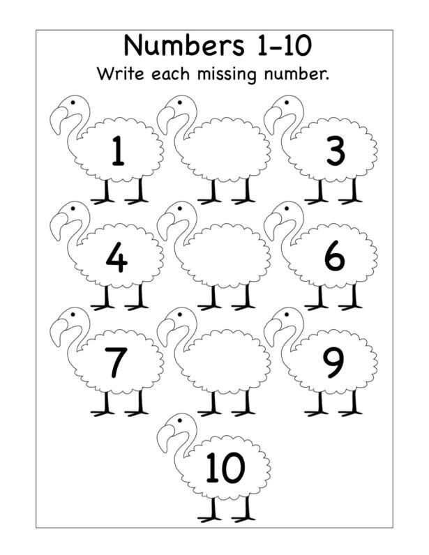 FIRST GRADE: 1ST TERM Numbers