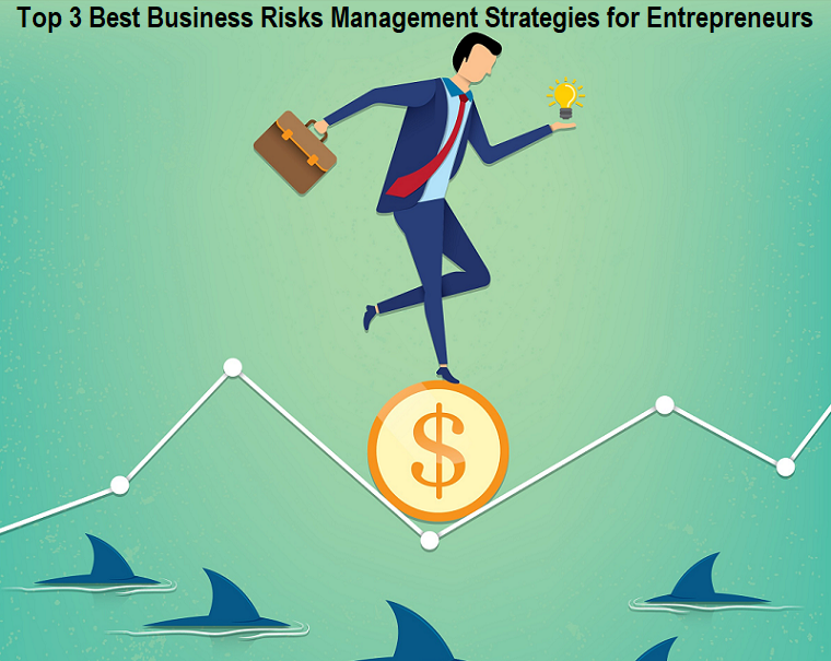 Top 3 Best Business Risks Management Strategies for Entrepreneurs