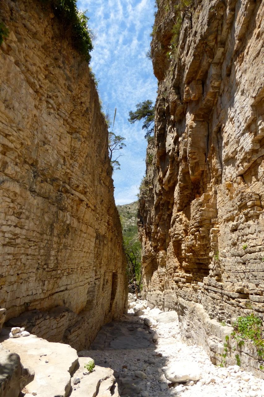 Greg's Running Adventures: Bush Mt (Guadalupe Mountains National Park)