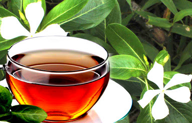 VINCA/PERIWINKLE: 3 Easiest ways to grow Sadabahar Plant| Health ...