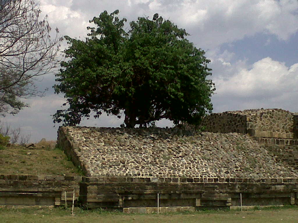 Nuestro México Chulo