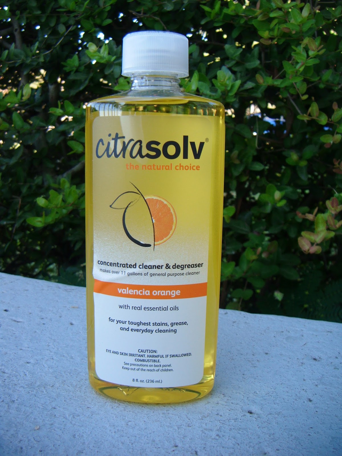 The ABCD Diaries: Citra Solv: All-Natural Home Cleaning that Works!