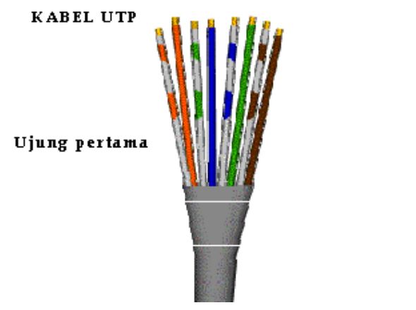 Crimping Kabel UTP Straigh dan Cross di RJ-45 | BELAJAR JADI TEKHNISI