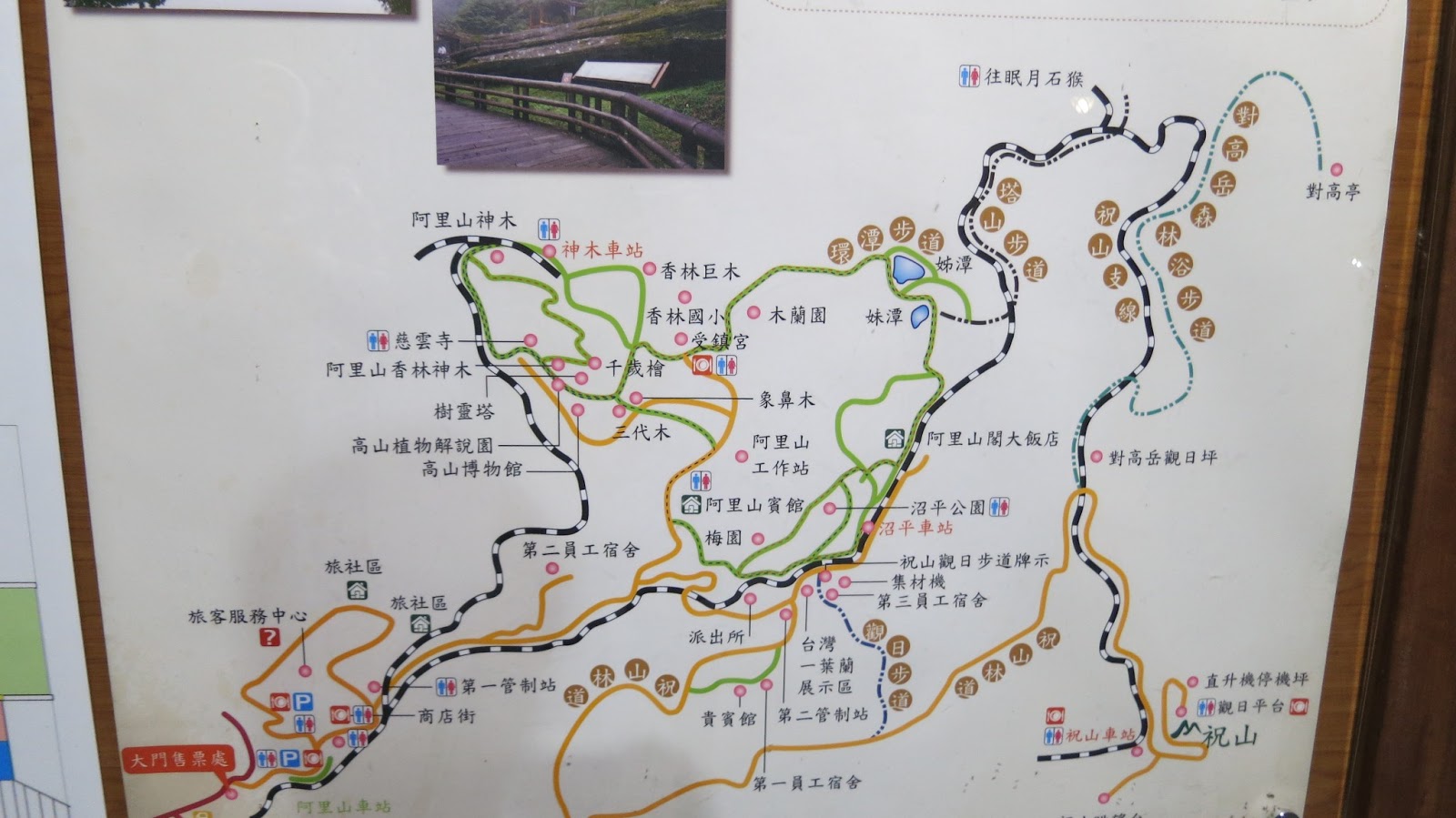 Taiwan: Alishan Forest Recreation Area - Ruili (阿里山国家森林遊乐区 - 瑞里）