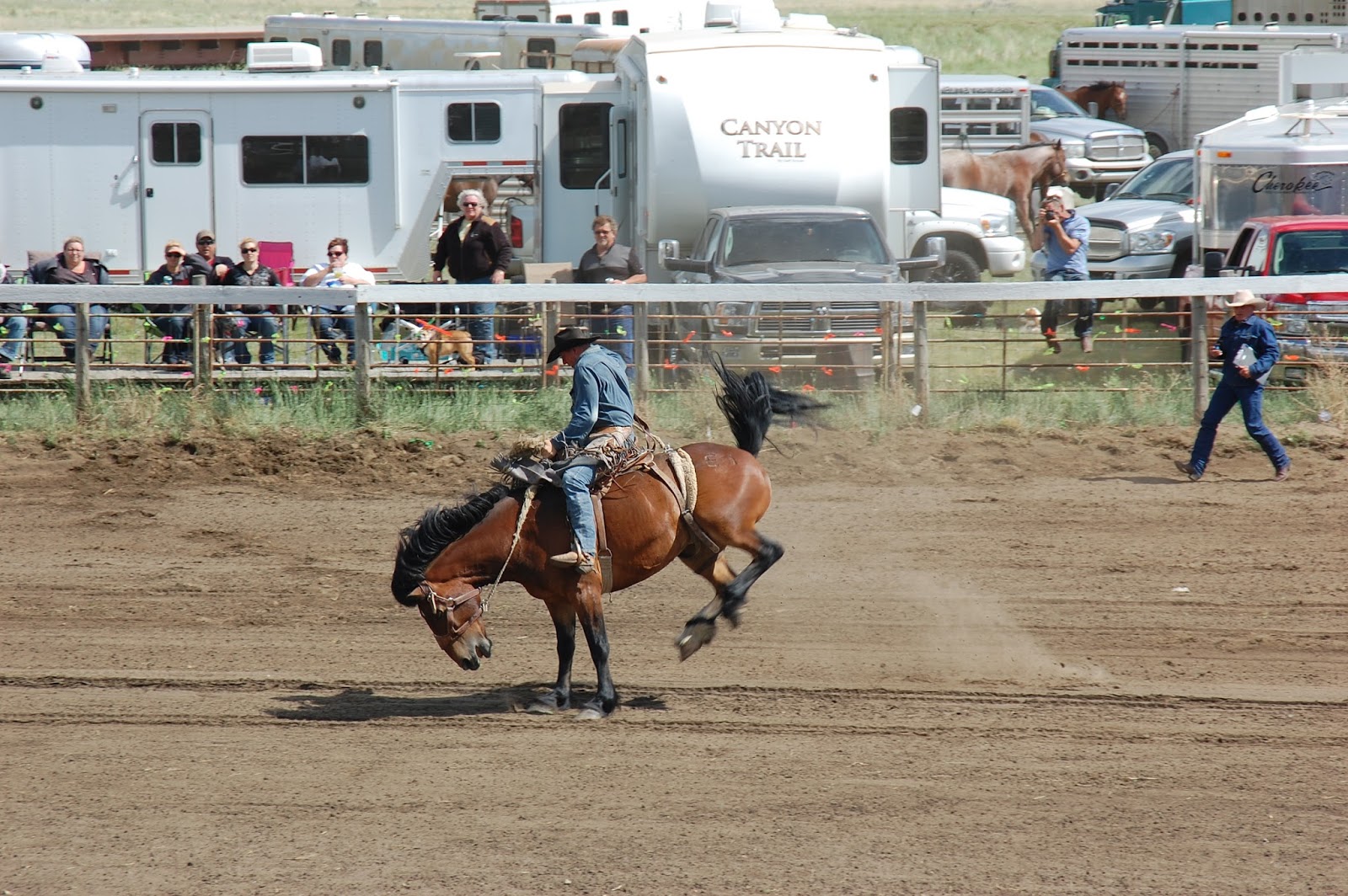 En rejsedagbog: Buffalo Rodeo