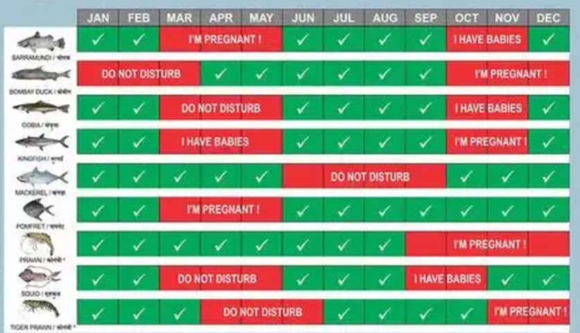 Why to consume seasonal fishes