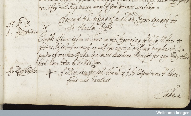 Primitive Physick: Rabies