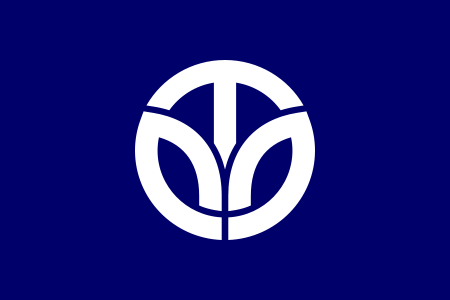 Flyer Goodness: Japanese Prefecture Flags