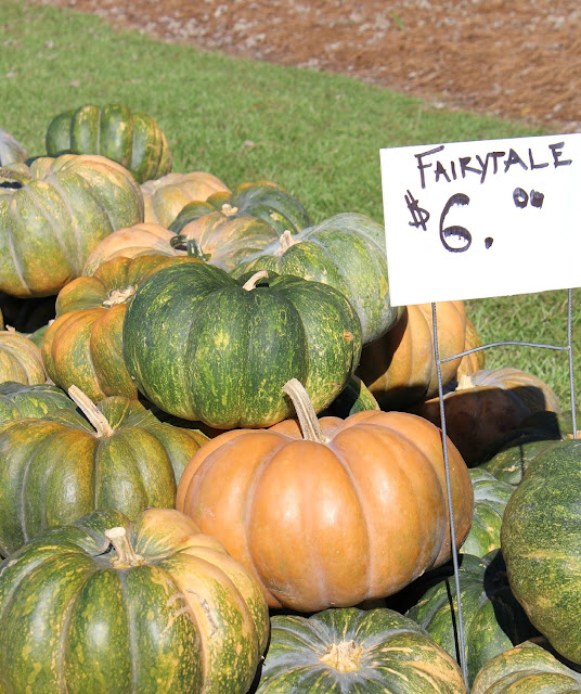 Ramblings of a Southern Girl: Painted Pumpkin Pallet & A Pumpkin Patch ...