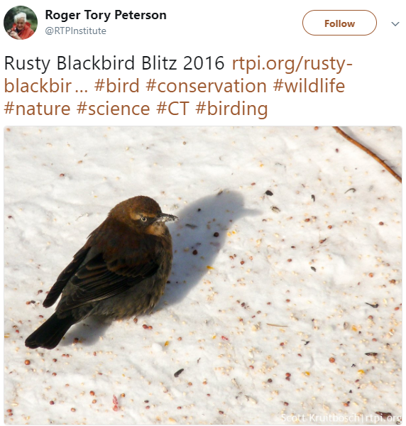 Earth and Space News: 2016 Rusty Blackbird Spring Migration Blitz ...