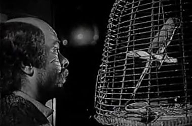 The Film Sufi: "Dash Akol" - Masoud Kimiai (1971)