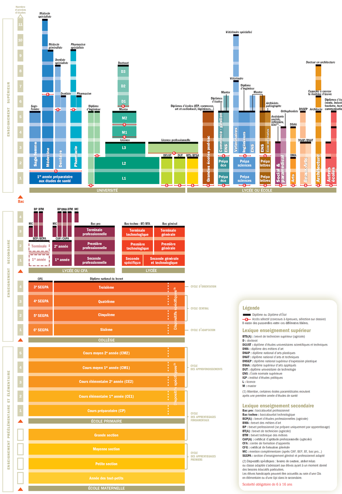 organigramme du système éducatif français