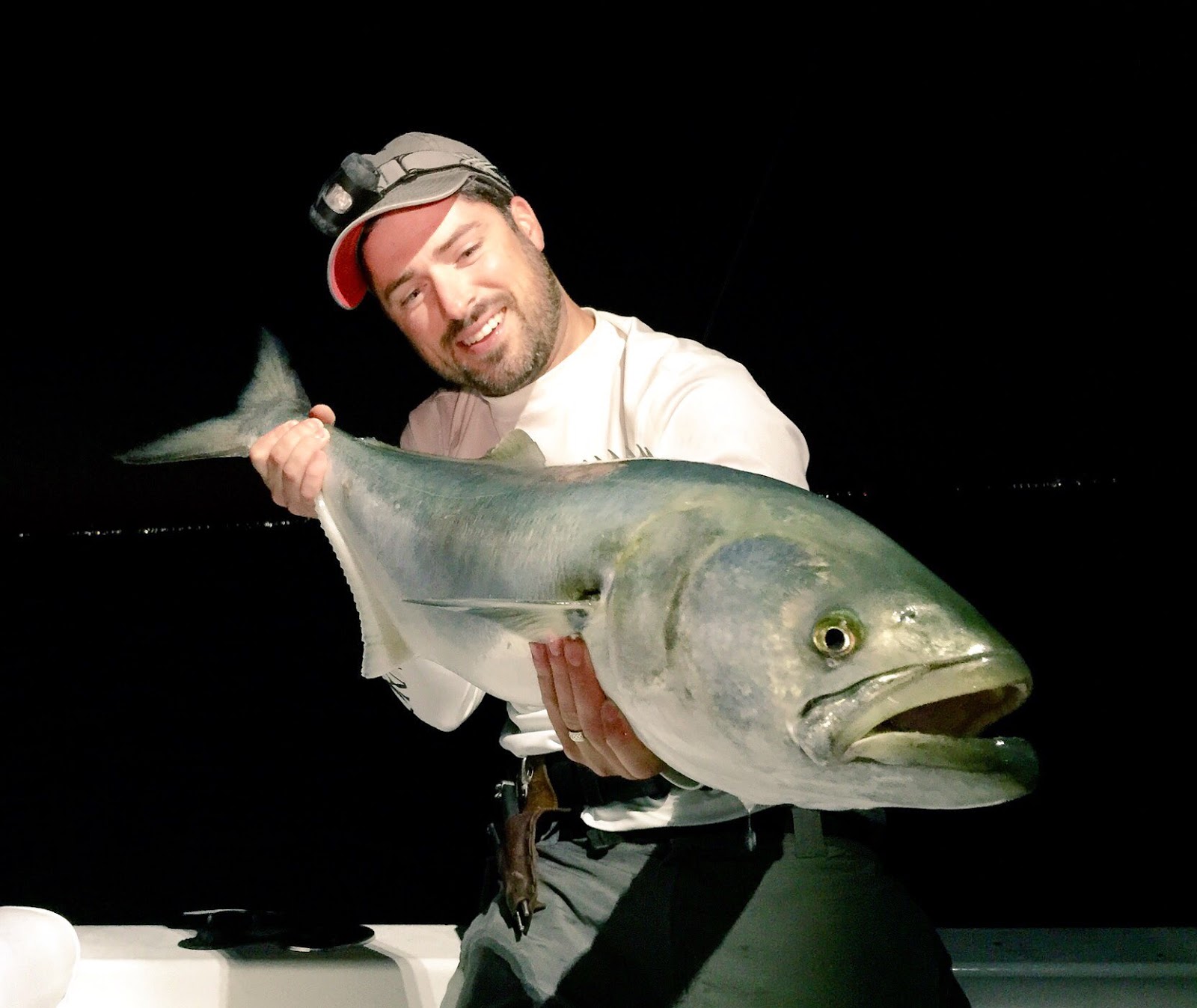 The Connecticut Yankee: Money Fish