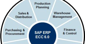 SAP INSTITUTE: Main Functional SAP ERP Modules
