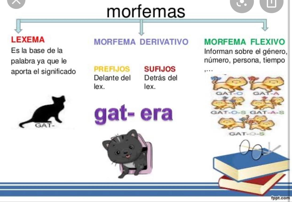 CRITERIOS MORFOLÓGICOS Y GENEALÓGICOS PARA LA CLASIFICACIÓN