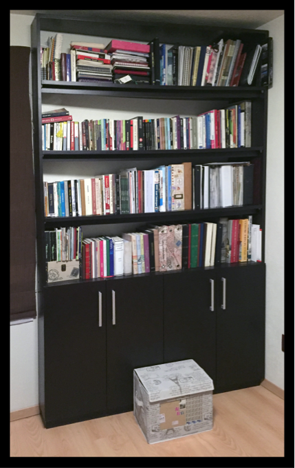 La Lupa: El pequeño acervo literario: la biblioteca en casa