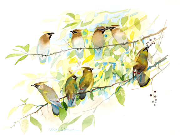 La Edad de Oro de los reptiles, 1950-1960