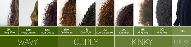 Know Your Curl Type | Miss Beauty Glam