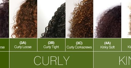 Know Your Curl Type | Miss Beauty Glam