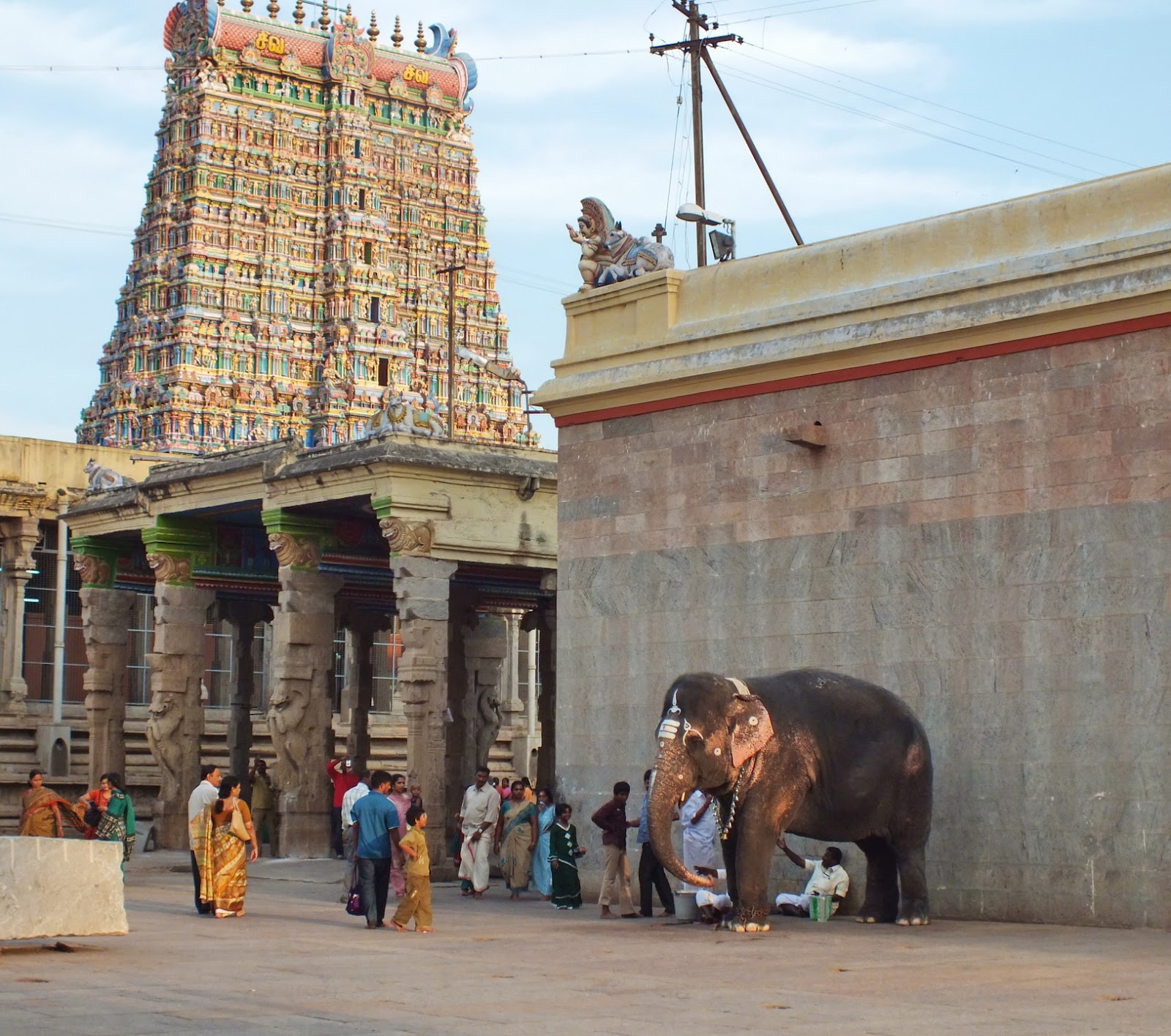 OM TAT SAT: Work as Temple Elephant