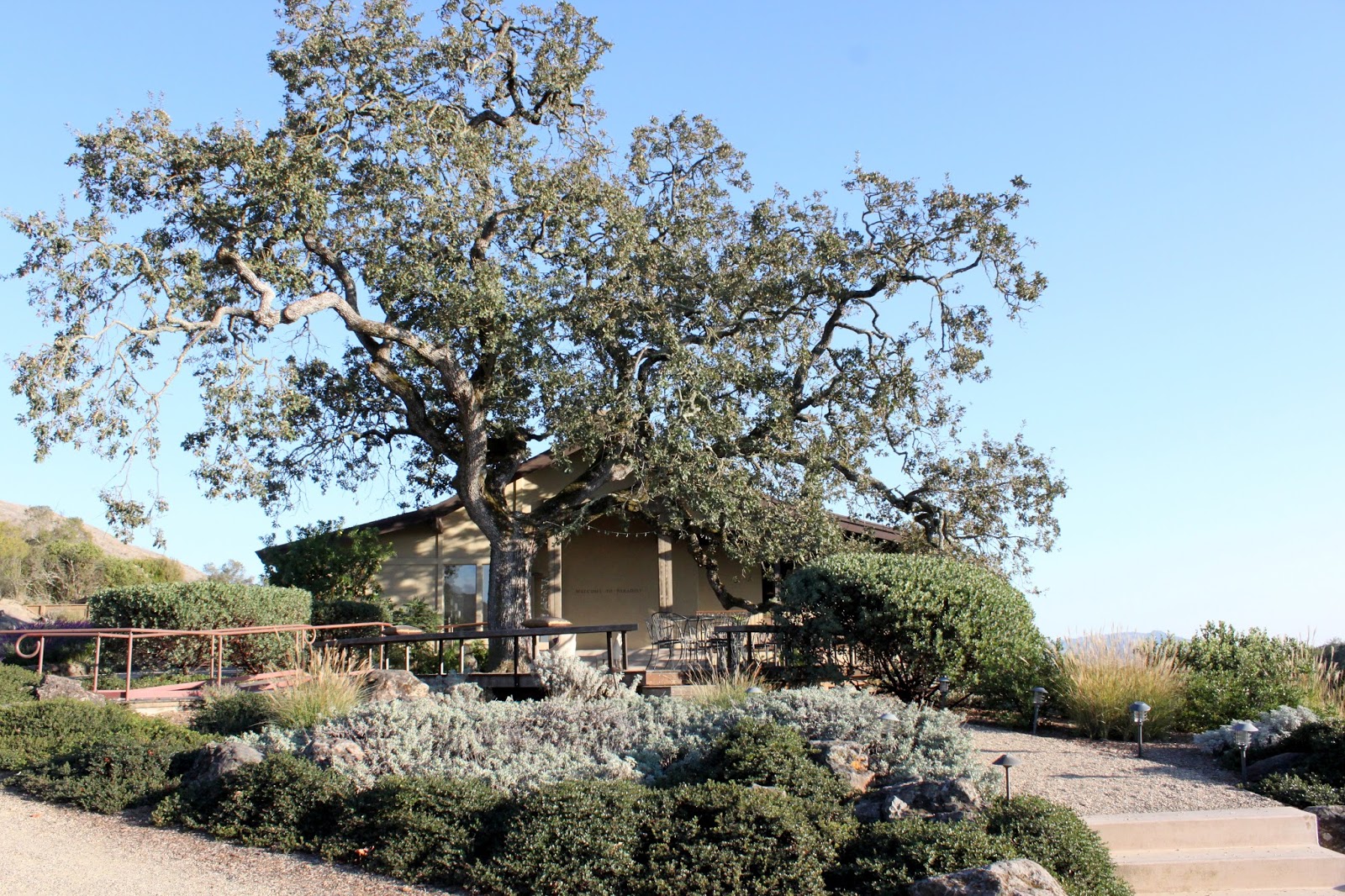 Paradise Ridge Winery, Santa Rosa Ca